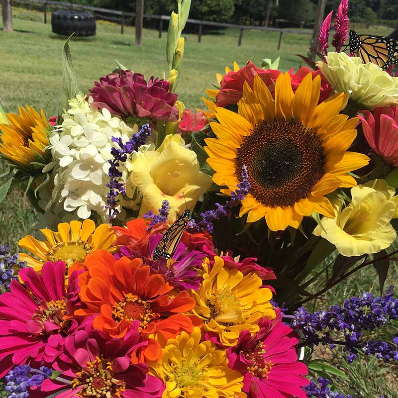 CSA/Farm Share Sizes - Falcon Ridge Farm