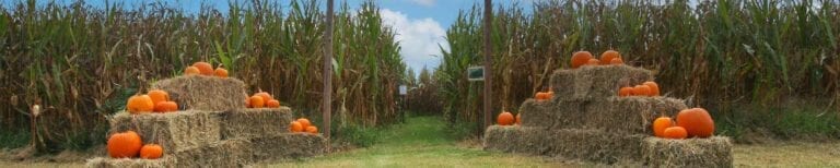 Fall Festival - Falcon Ridge Farm