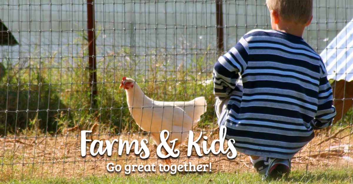 Field Trips - Falcon Ridge Farm