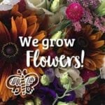 Welcome - Falcon Ridge Farm