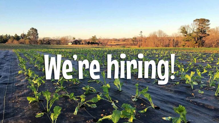 We're Hiring! - Falcon Ridge Farm