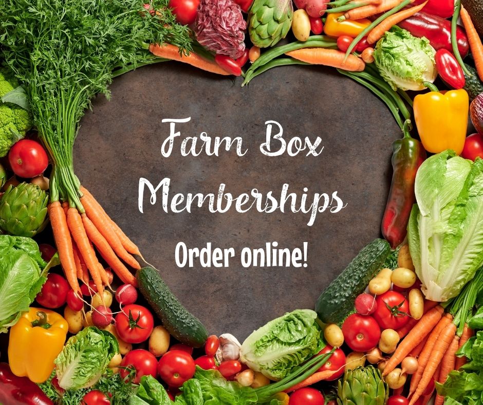 CSA - Falcon Ridge Farm